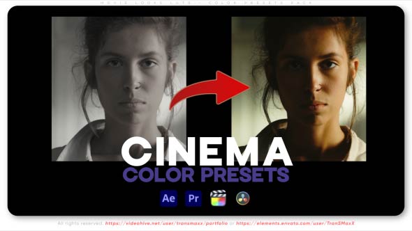Cinematic Look Color LUTs, Add Ons | VideoHive